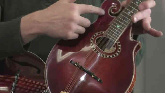 Types de Mandolines