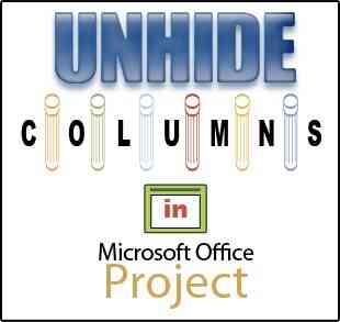 Comment faire pour Afficher les Colonnes dans Microsoft Project